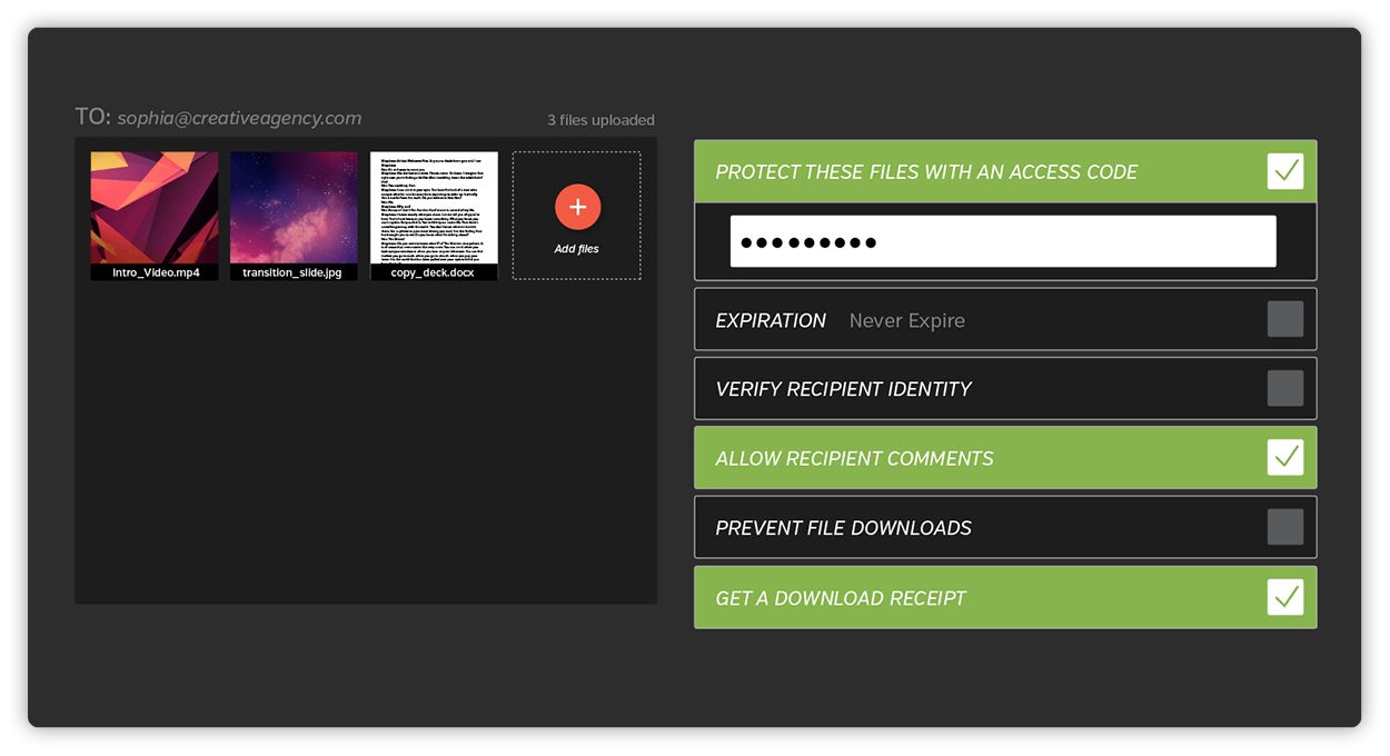 Share your large files: Secure & fast file sharing | Hightail